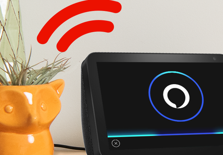 Using Alexa to find out information & facts - Blind Veterans UK